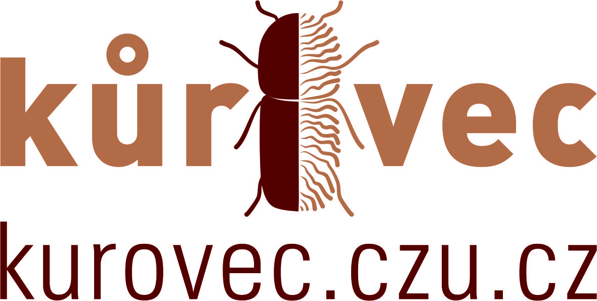ČZU - Kůrovec